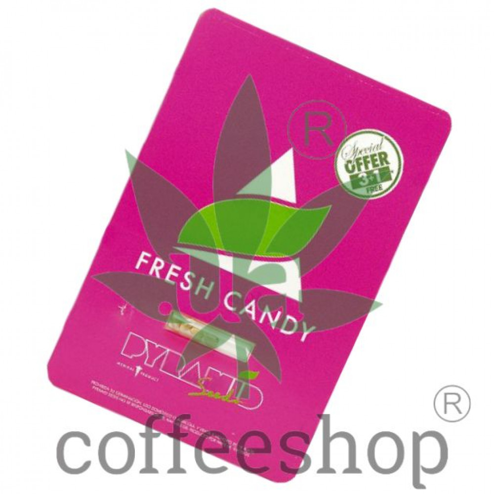 FRESH CANDY feminised – купити у Coffeeshop.ua